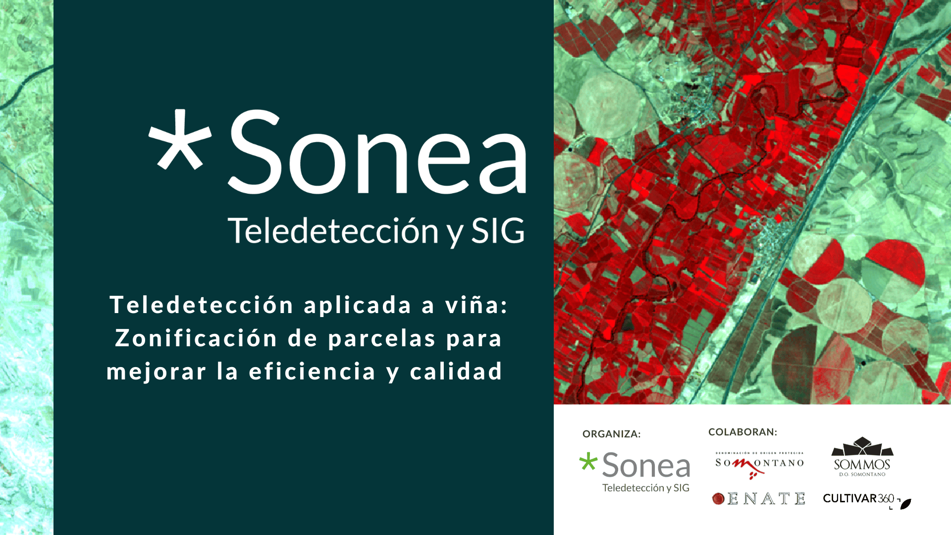 Teledetección para vendimias más precisas: la experiencia de SONEA en ...